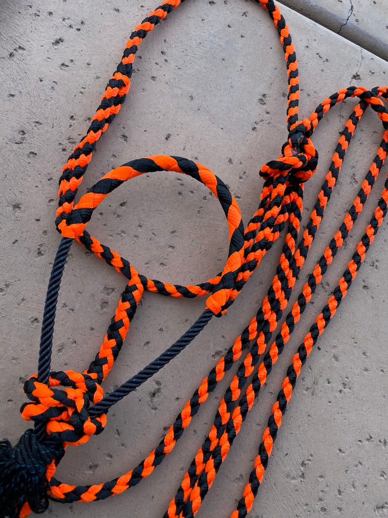 Mule Tape Horse Halter With Rope Noseband - Etsy