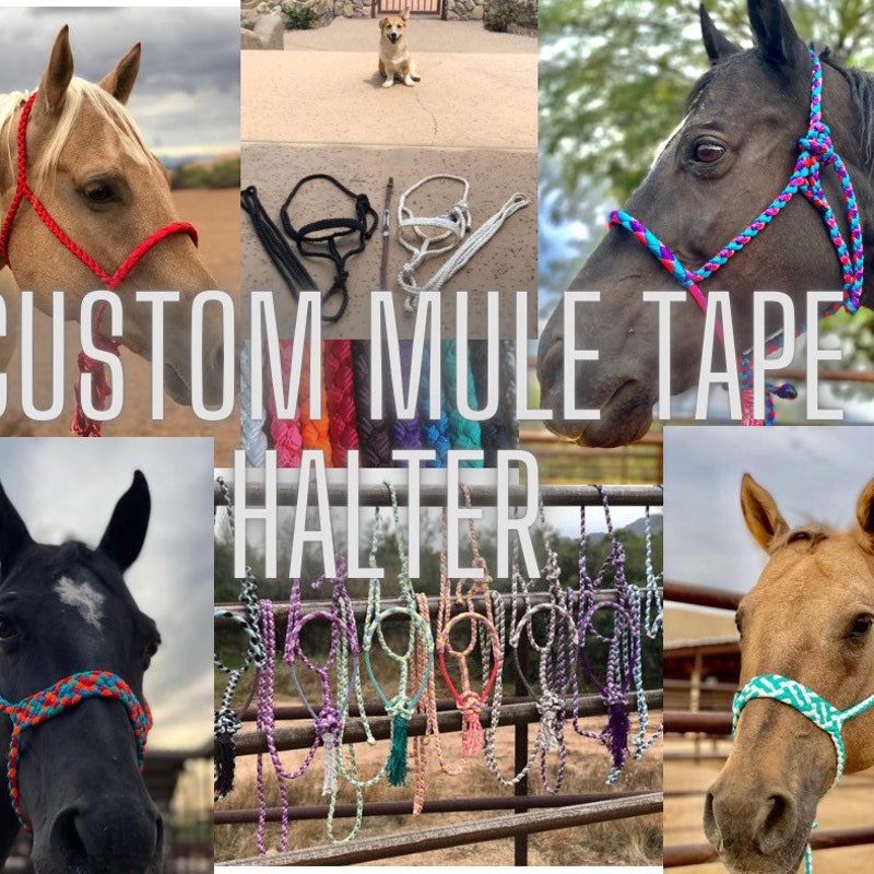 Custom Horse Halter - Etsy