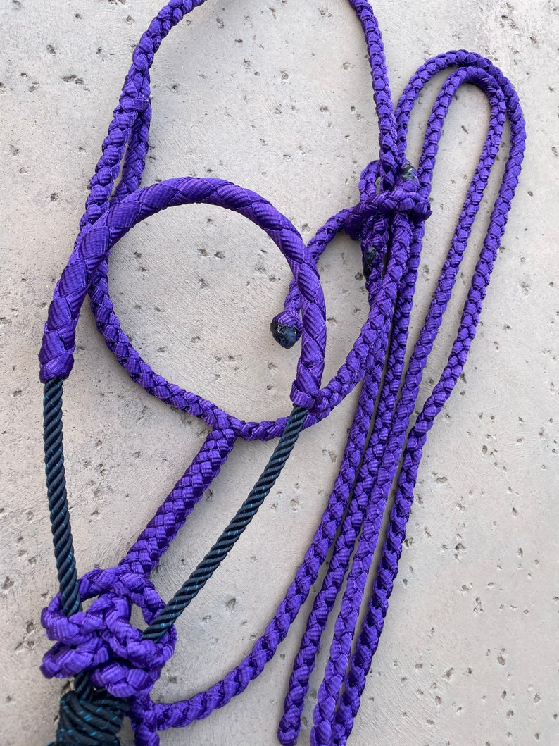 Mule Tape Horse Halter With Rope Noseband - Etsy