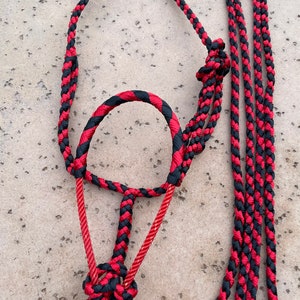 Mule Tape Horse Halter With Rope Noseband - Etsy