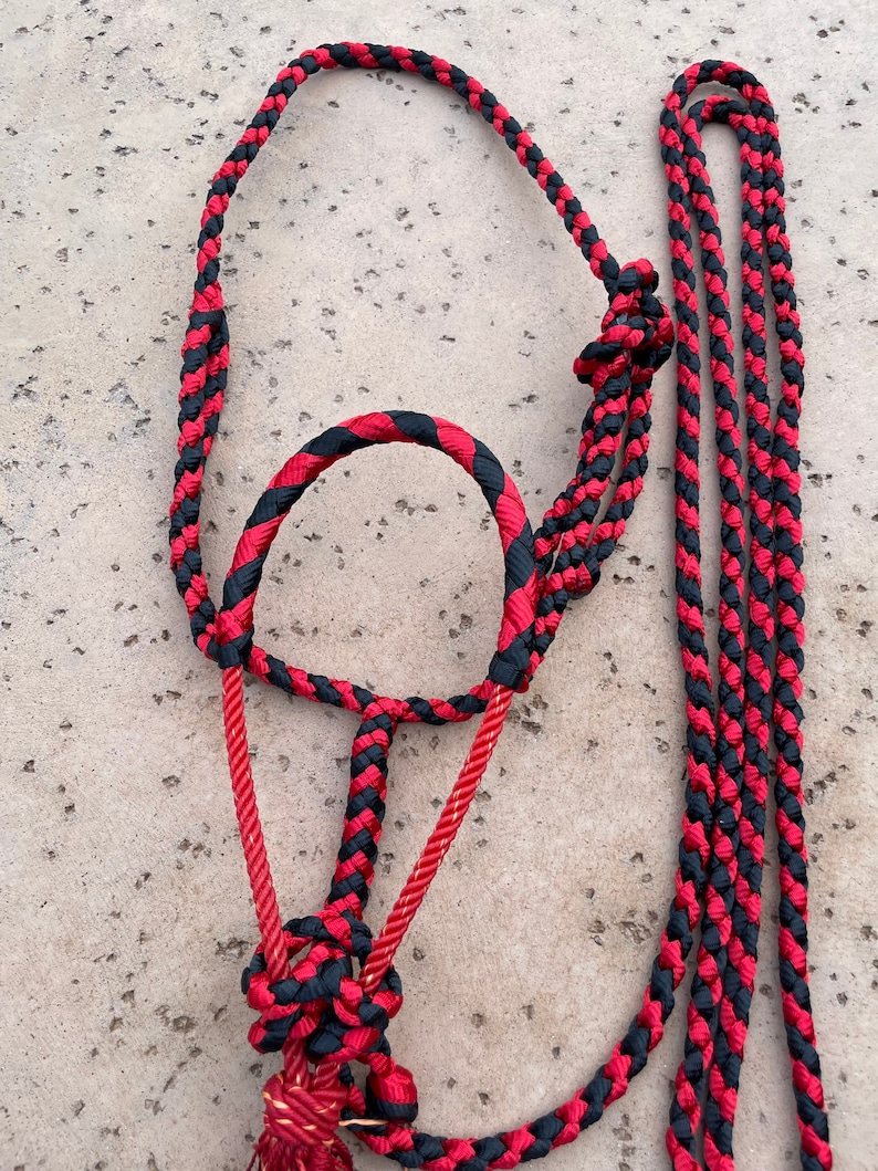 Mule Tape Horse Halter With Rope Noseband - Etsy