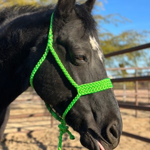 Neon Lime Green Mule Tape Horse Halter With Rope Noseband - Etsy