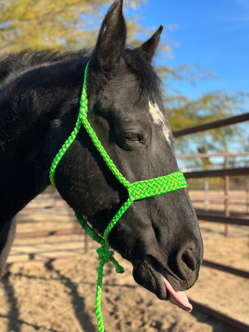 Neon Lime Green Mule Tape Horse Halter With Rope Noseband - Etsy