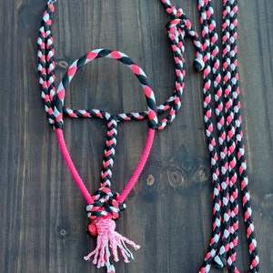 Mule Tape Horse Halter With Rope Noseband - Etsy