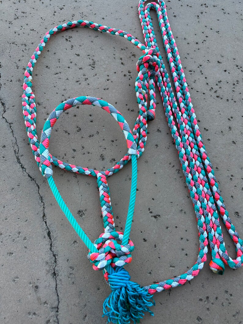Mule Tape Horse Halter With Rope Noseband - Etsy