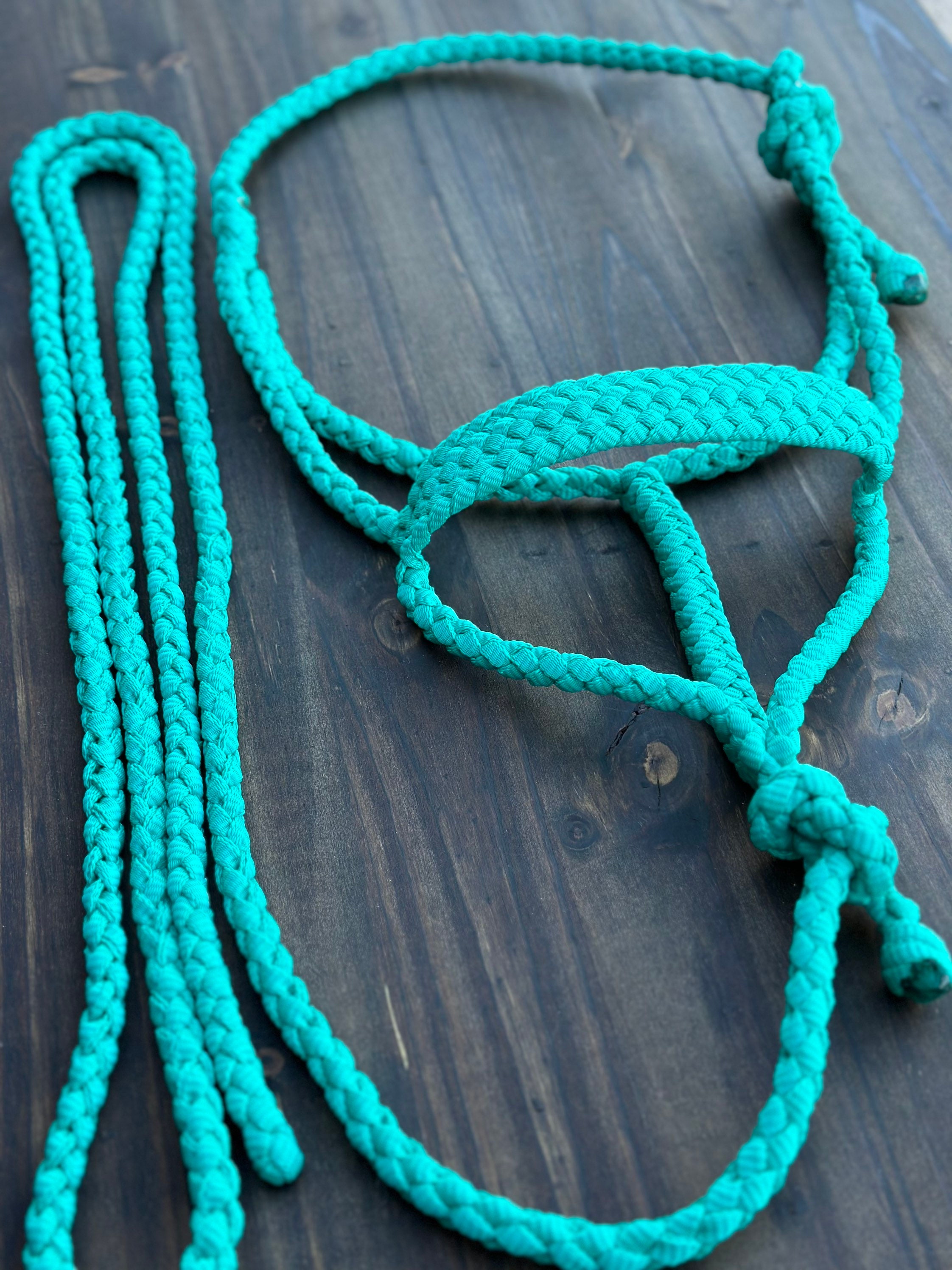 Turquoise Mule Tape Horse Halter - Etsy