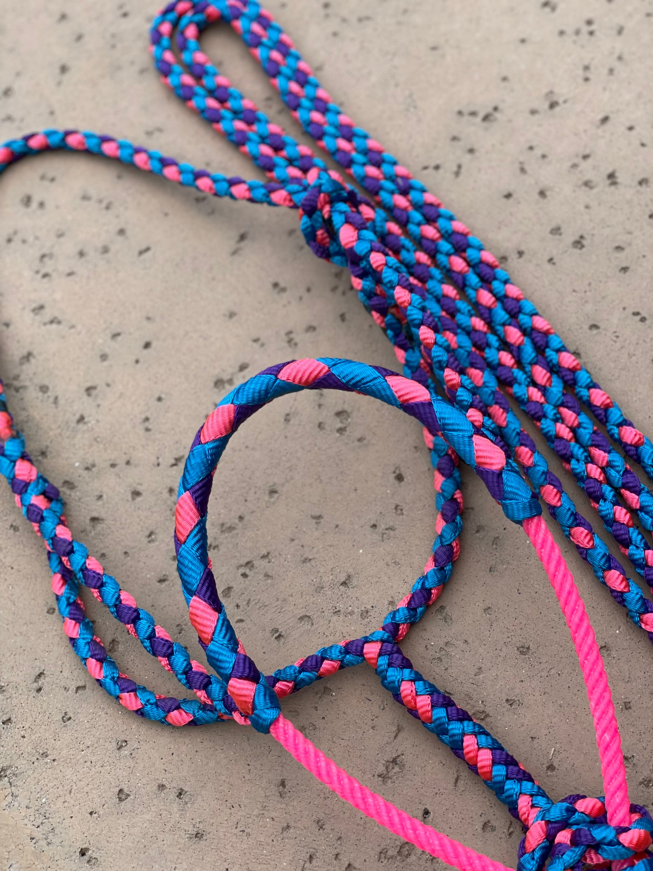 Mule Tape Horse Halter With Rope Noseband - Etsy