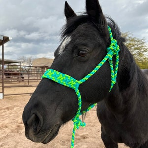 Turquoise and Lime Green Mule Tape Horse Halter - Etsy