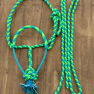 Turquoise and Lime Green Mule Tape Horse Halter - Etsy
