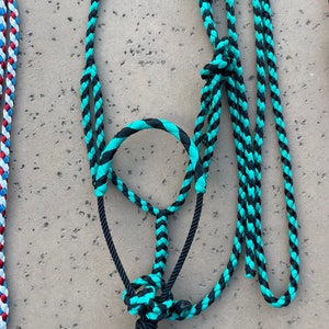 Mule Tape Horse Halter With Rope Noseband - Etsy