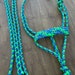 Lime Green and Turquoise Mule Tape Horse Halter With Rope Noseband - Etsy