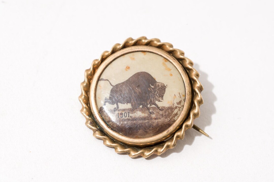 Antique Buffalo Pin, Pan American Exposition Souvenir, 1901 - Etsy