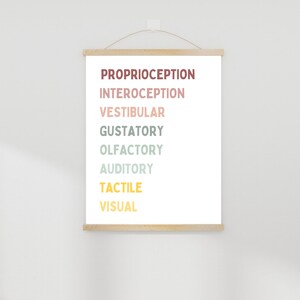 Sensory Systems Poster, Occupational Therapy Poster, Occupational ...