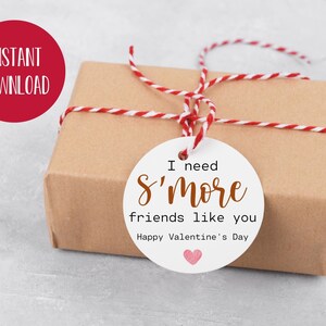 I Need S'more Friends Like You Valentine's Day Gift Tags, School ...