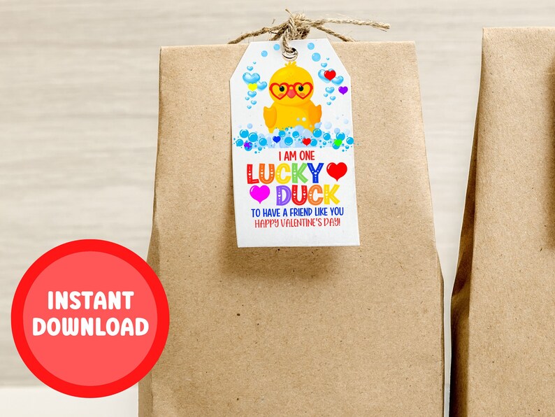 Lucky Duck Valentine's Day Tags, Printable Valentine, Classroom School ...