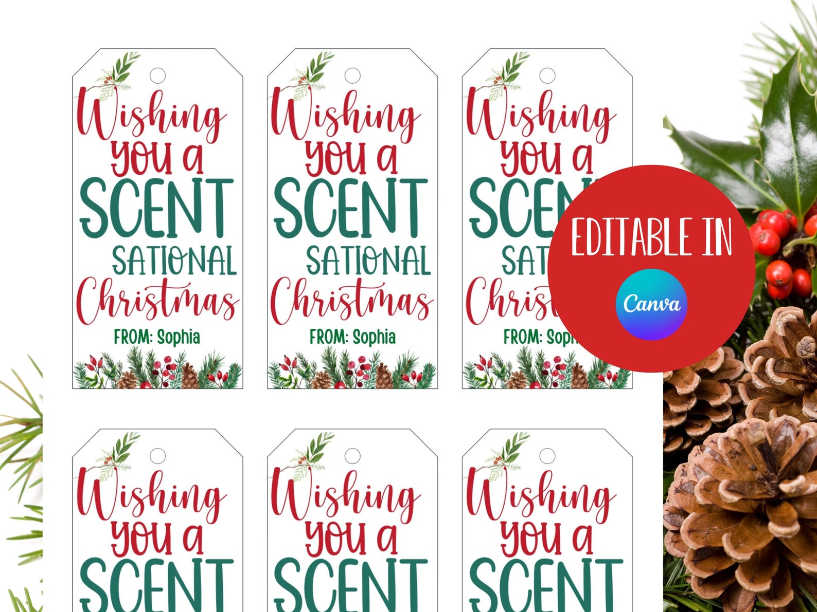 Christmas Gift Tag, Wishing You a Scentsational, Soap Tag, Christmas ...