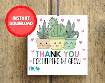 Teacher Appreciation Tag, Teacher Thank You Gift Tag, Teacher Rainbow ...