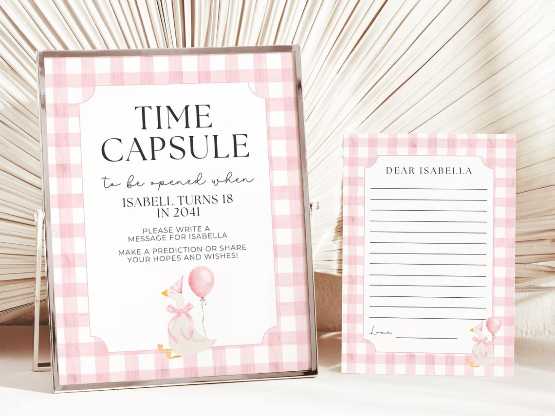 One Silly Goose Time Capsule, Goose 1st Birthday, Time Capsule Sign ...