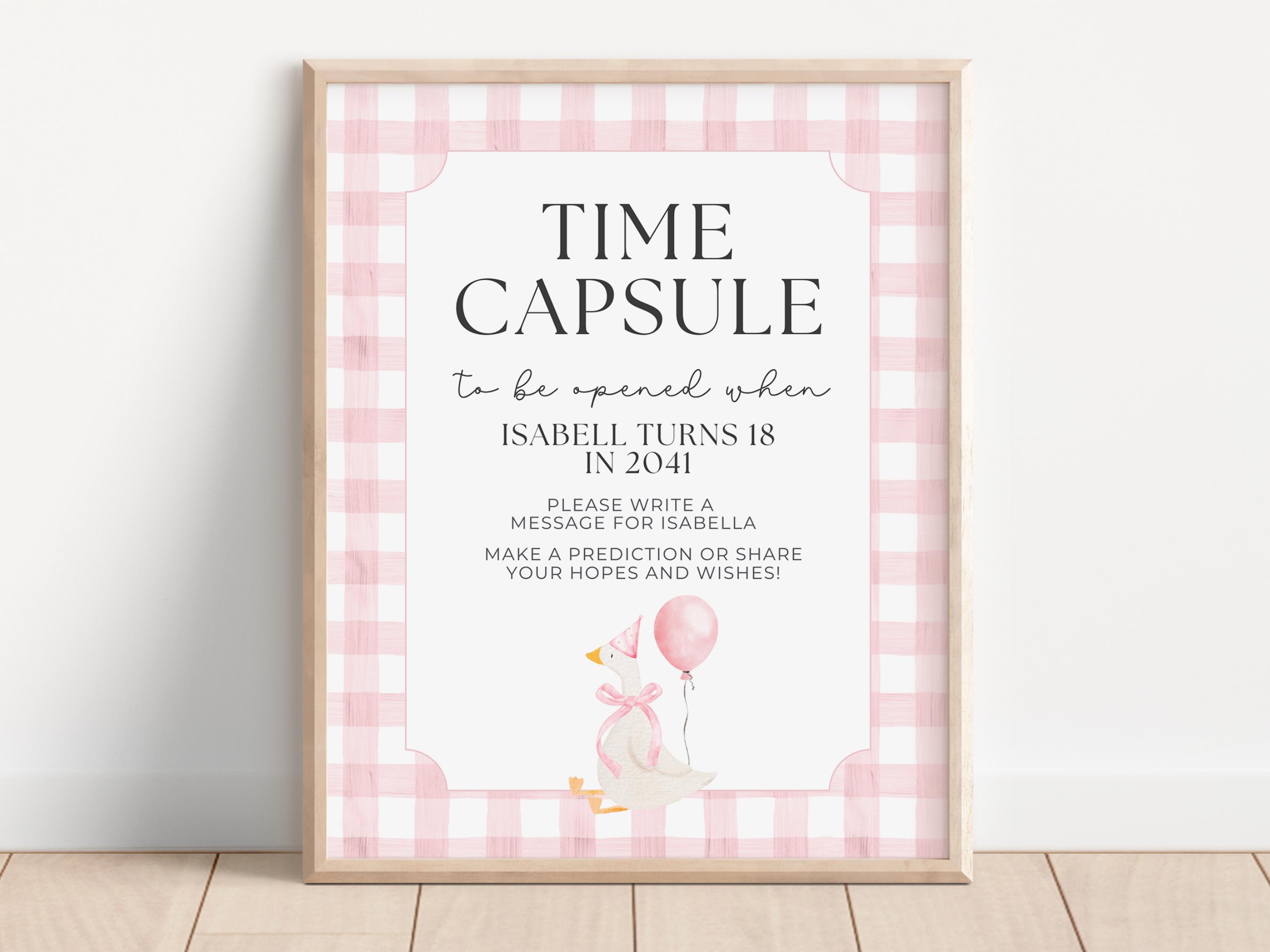 One Silly Goose Time Capsule, Goose 1st Birthday, Time Capsule Sign ...