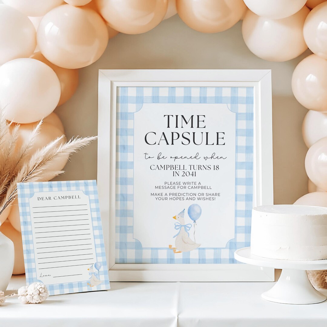 One Silly Goose Time Capsule, Goose 1st Birthday, Time Capsule Sign ...