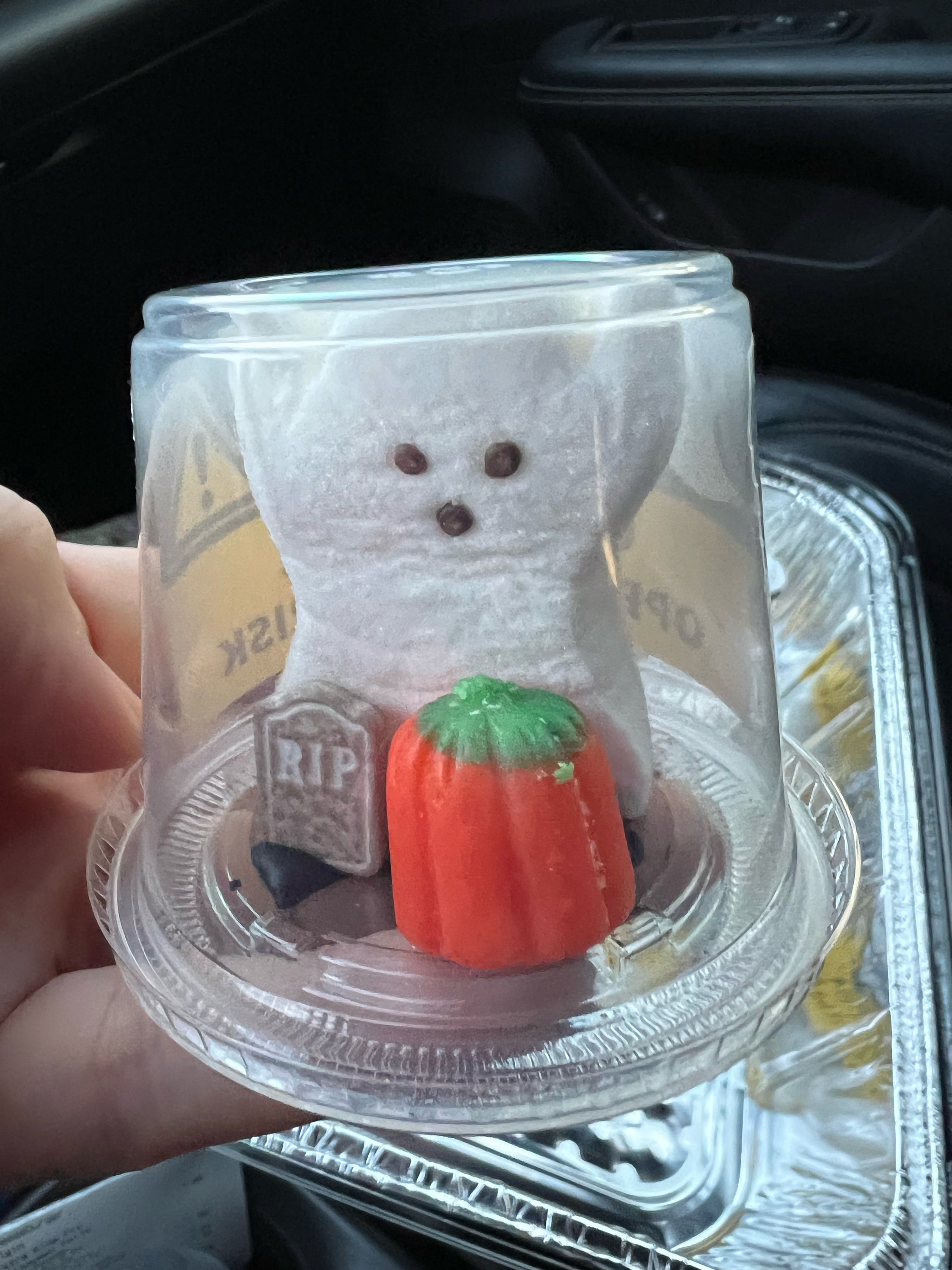 Warning Label for Pet Ghost Treat - Etsy