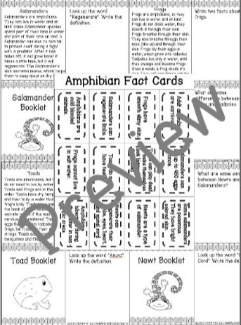 Science Reading Passages, Comprehension & Fact Cards Activity, Learning ...