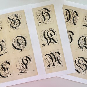1700's German Alphabet Script Digital - Etsy