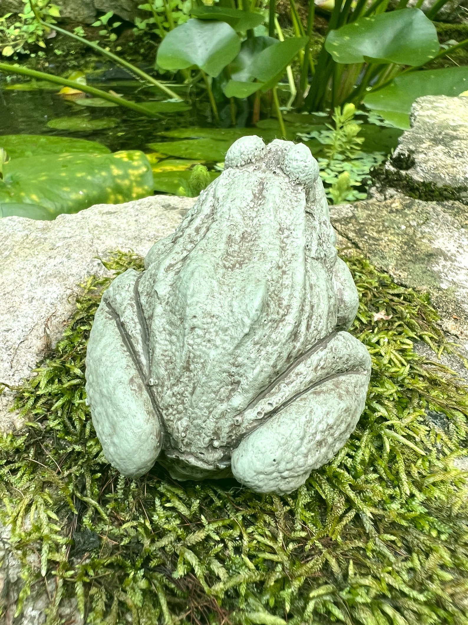 Small Frog, Toad, Little Frog Prince, Frog Statue, Concrete Frog ...