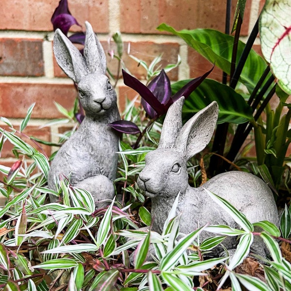 Bunny Garden - Etsy