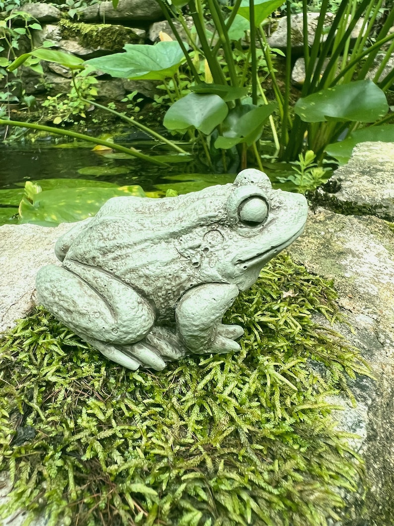 Small Frog, Toad, Little Frog Prince, Frog Statue, Concrete Frog ...