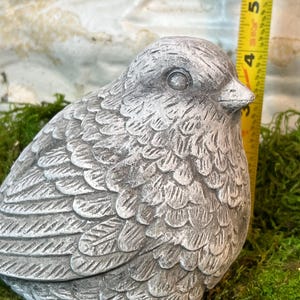 Fat Bird Statue, Whimsical Bird Statue, Concrete, Cast Stone Bird ...