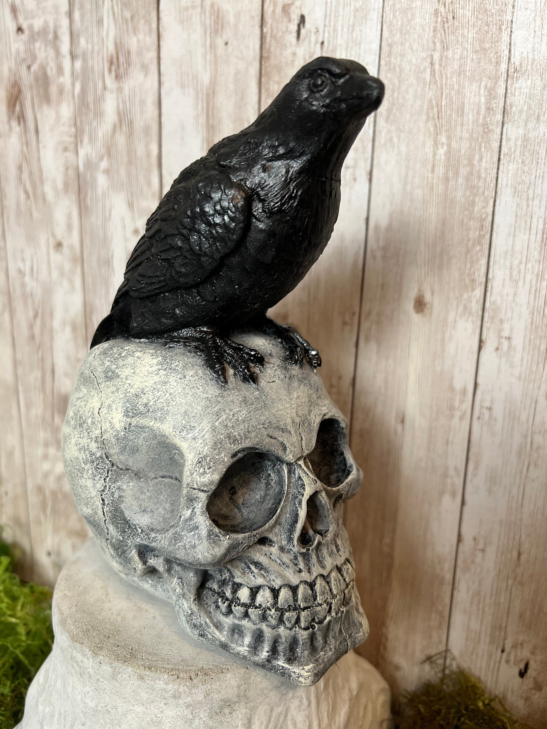 Raven on Skull Statue, Halloween Decoration, Cast Stone Raven Statue ...