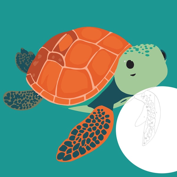 Turtle Paint by Numbers - Etsy