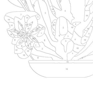 Paint by Number-succulent Flower Pot Paint by Numbers - Paint Kit for ...