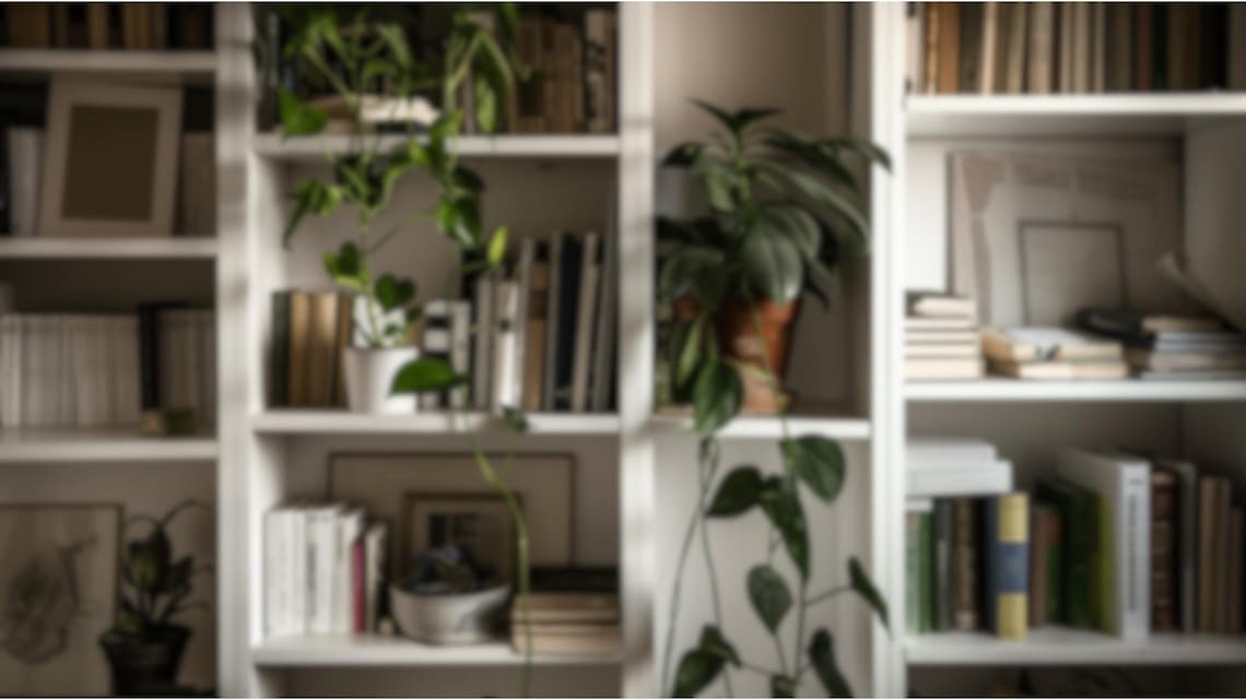 Zoom Visual Background, Plant Bookshelf Zoom Background, Virtual ...