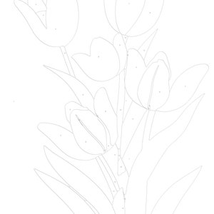 Paint by Number - Tulips Floral Flower Paint by Numbers - Paint Kit for ...