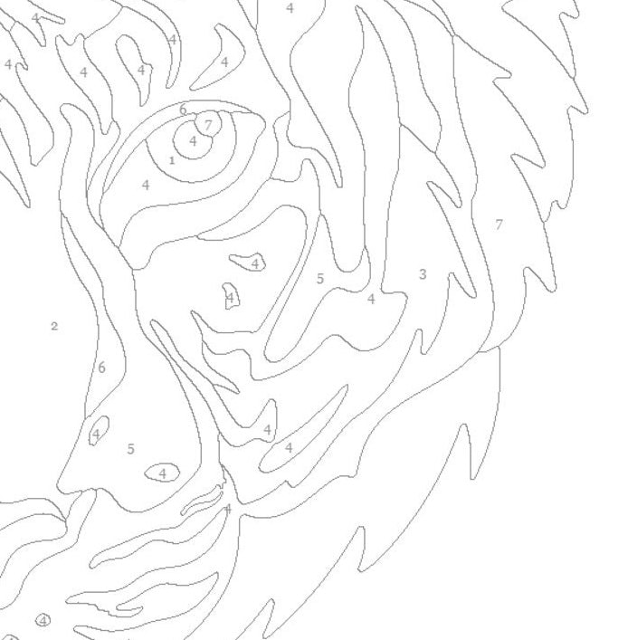 Paint by Number- Tiger Animal Paint by Numbers - Paint Kit for Adult ...