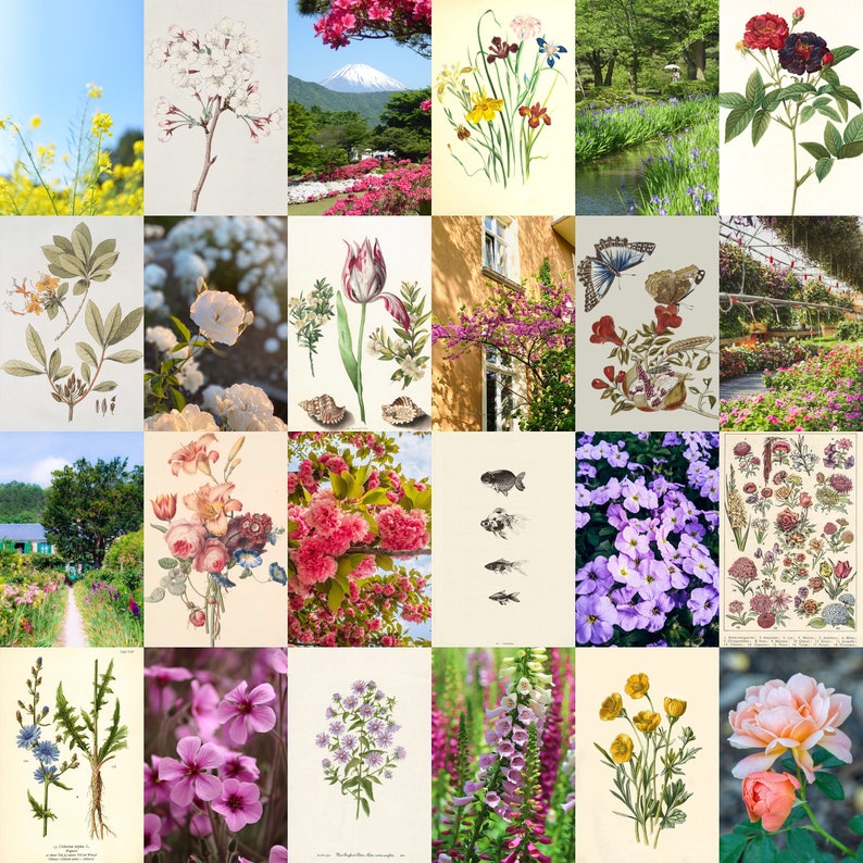 Flower Garden Cottagecore Posters Wall Collage Prints Kit (150 Pcs) - Etsy
