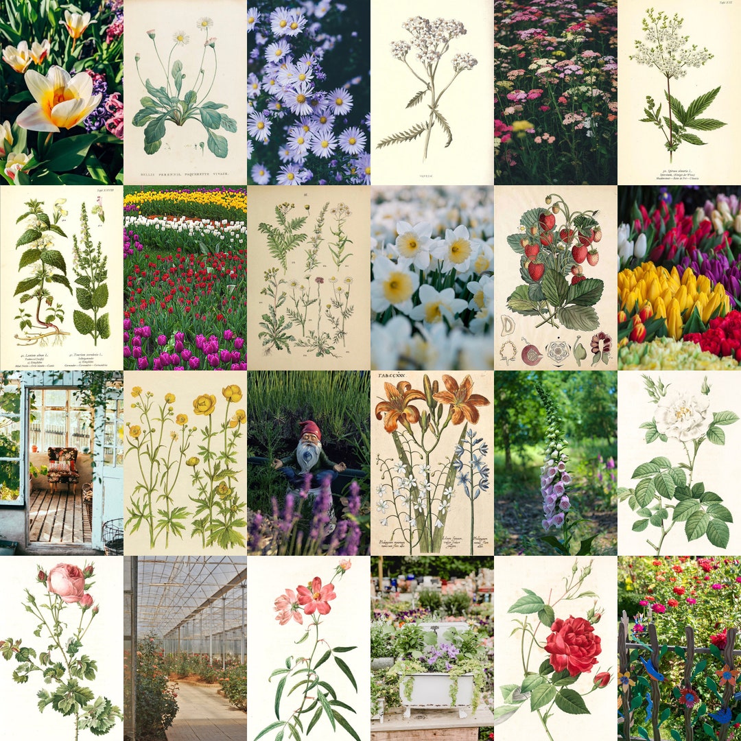 Flower Garden Cottagecore Posters Wall Collage Prints Kit (150 Pcs) - Etsy