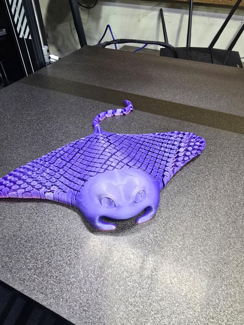 Mystery Rainbow Sea Creatures – 3d-printed and Flexible! - Etsy