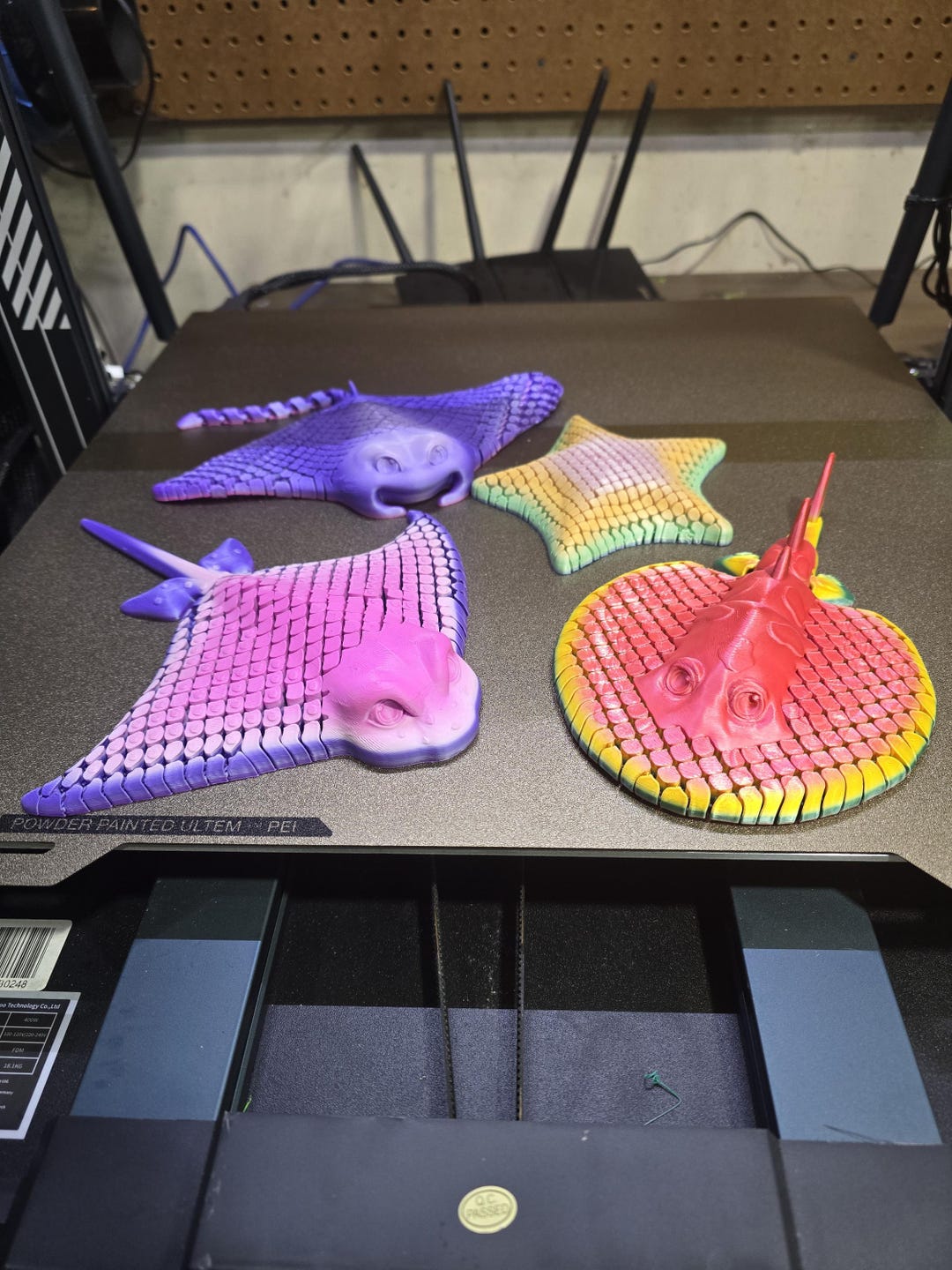Mystery Rainbow Sea Creatures – 3d-printed and Flexible! - Etsy