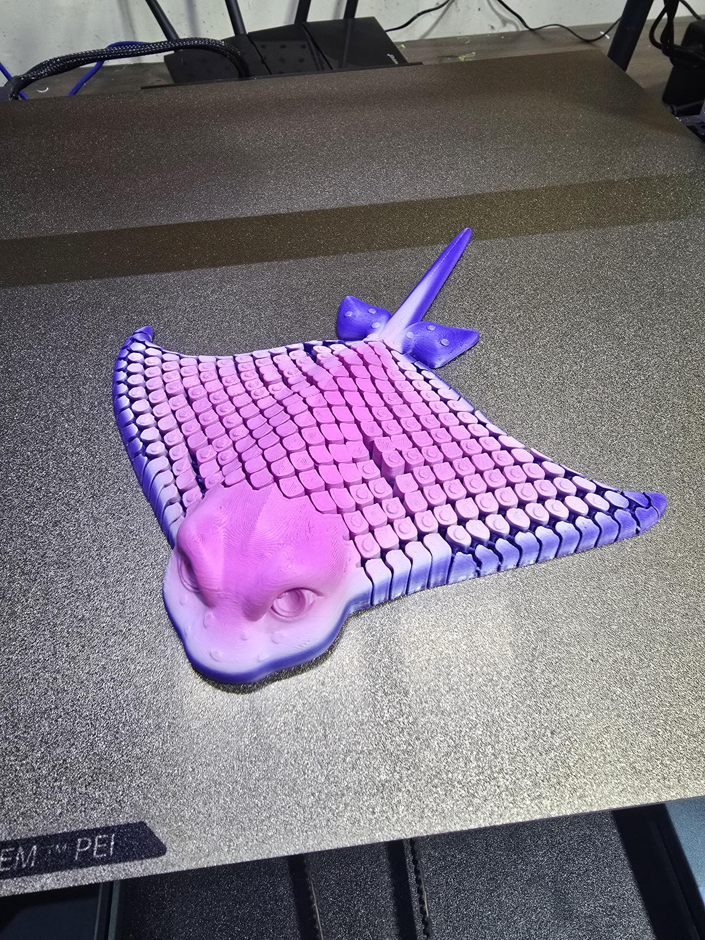 Mystery Rainbow Sea Creatures – 3d-printed and Flexible! - Etsy