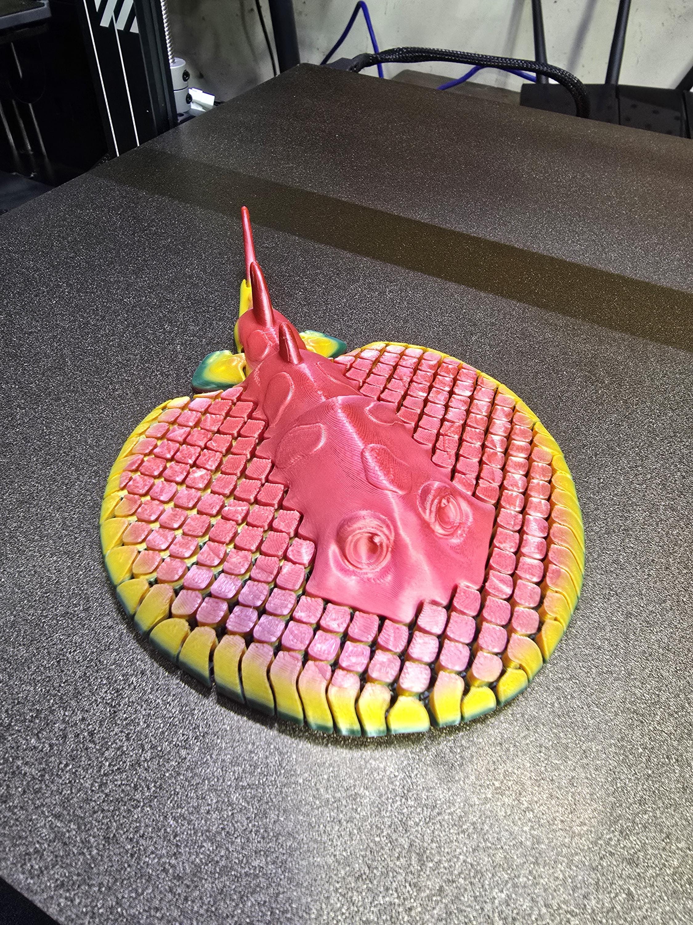 Mystery Rainbow Sea Creatures – 3d-printed and Flexible! - Etsy