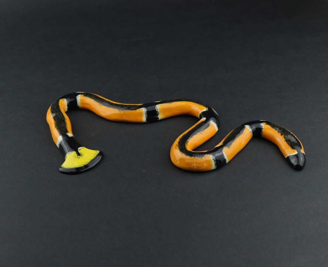 Ceramic Terrestrial Hammerhead Flatworm- Diversibipalium Sp. - Etsy