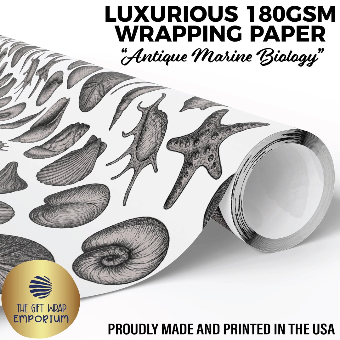 Antique Marine Biology Wrapping Paper, Vintage Sea Life Sketch ...
