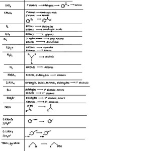 Organic Chemistry Reagents and Functions - Etsy