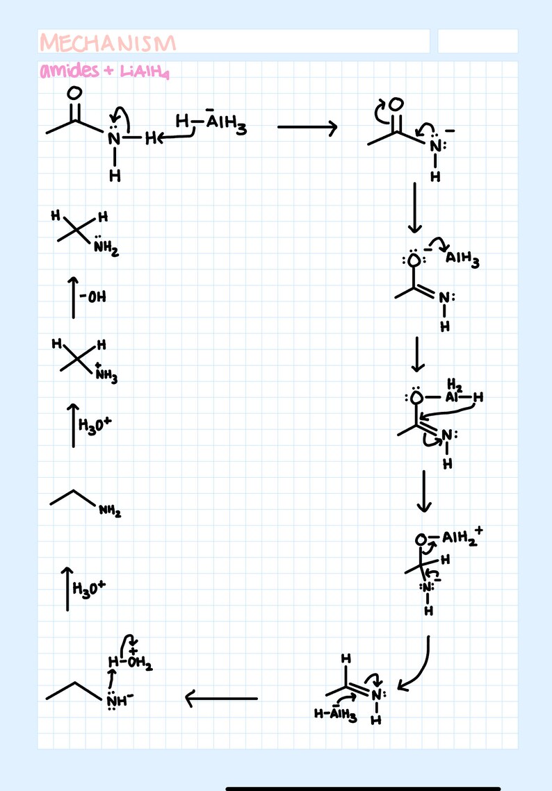 Organic Chemistry 2 Reactions and Mechanisms - Etsy