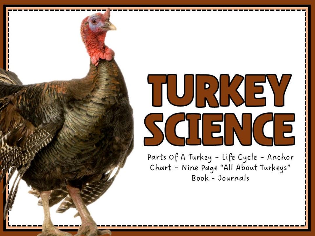 All About Turkeys Science Unit – Thanksgiving STEM + Life Cycle + Print ...