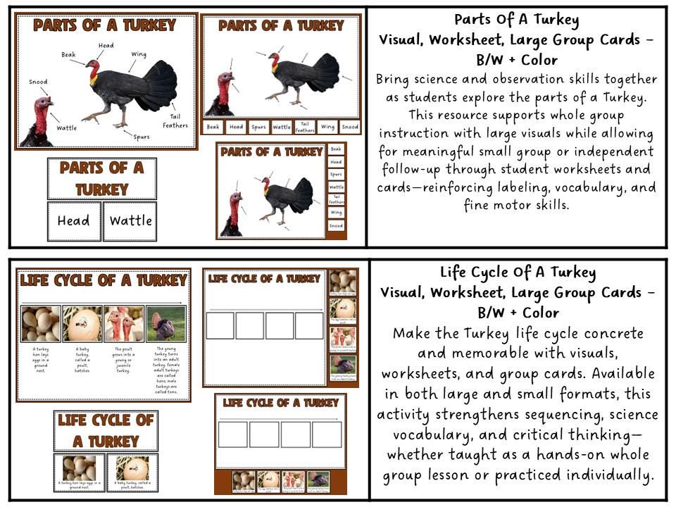 All About Turkeys Science Unit – Thanksgiving STEM + Life Cycle + Print ...