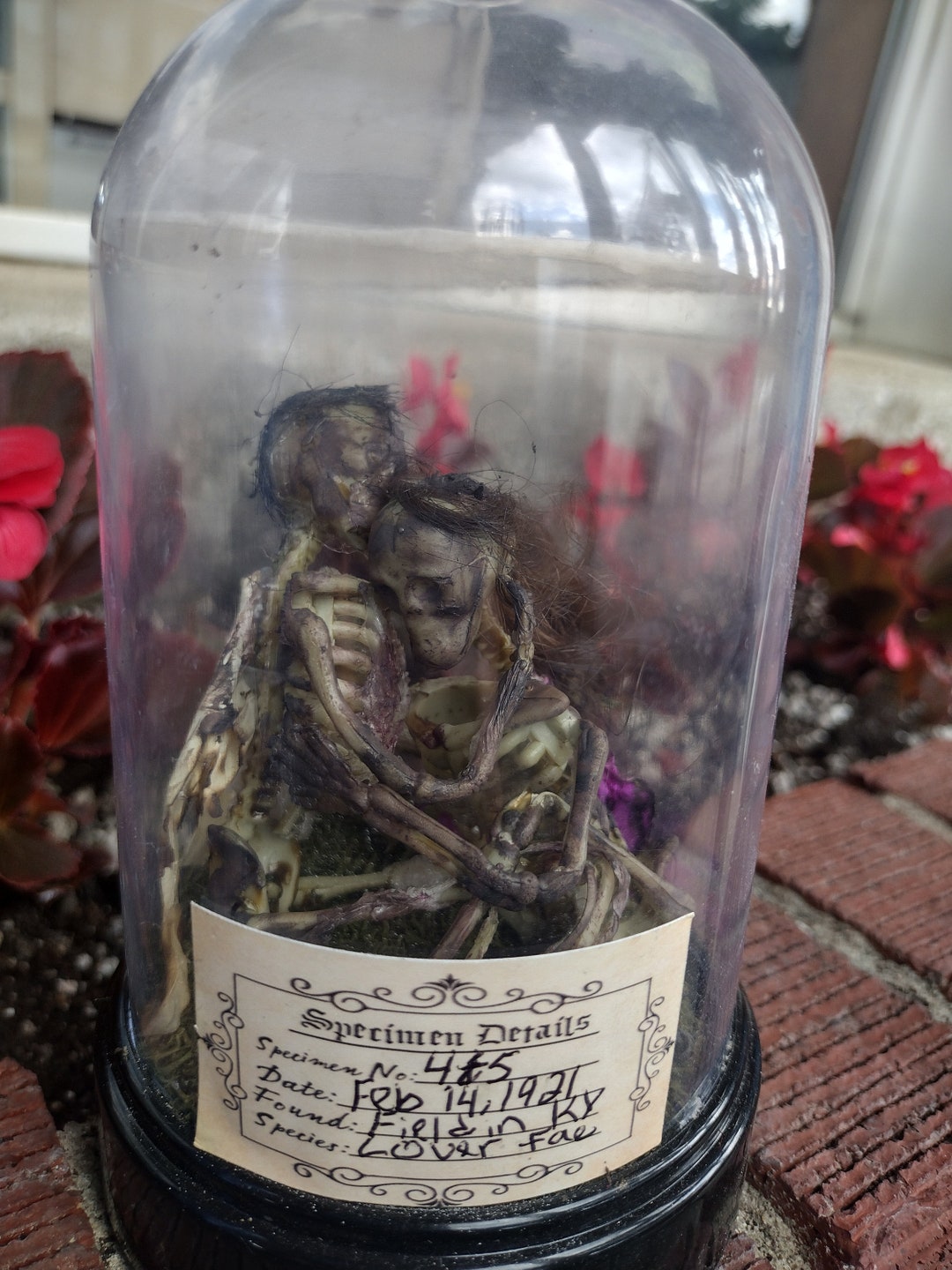 Forgotten Fae CUSTOM Fae Jars - Etsy